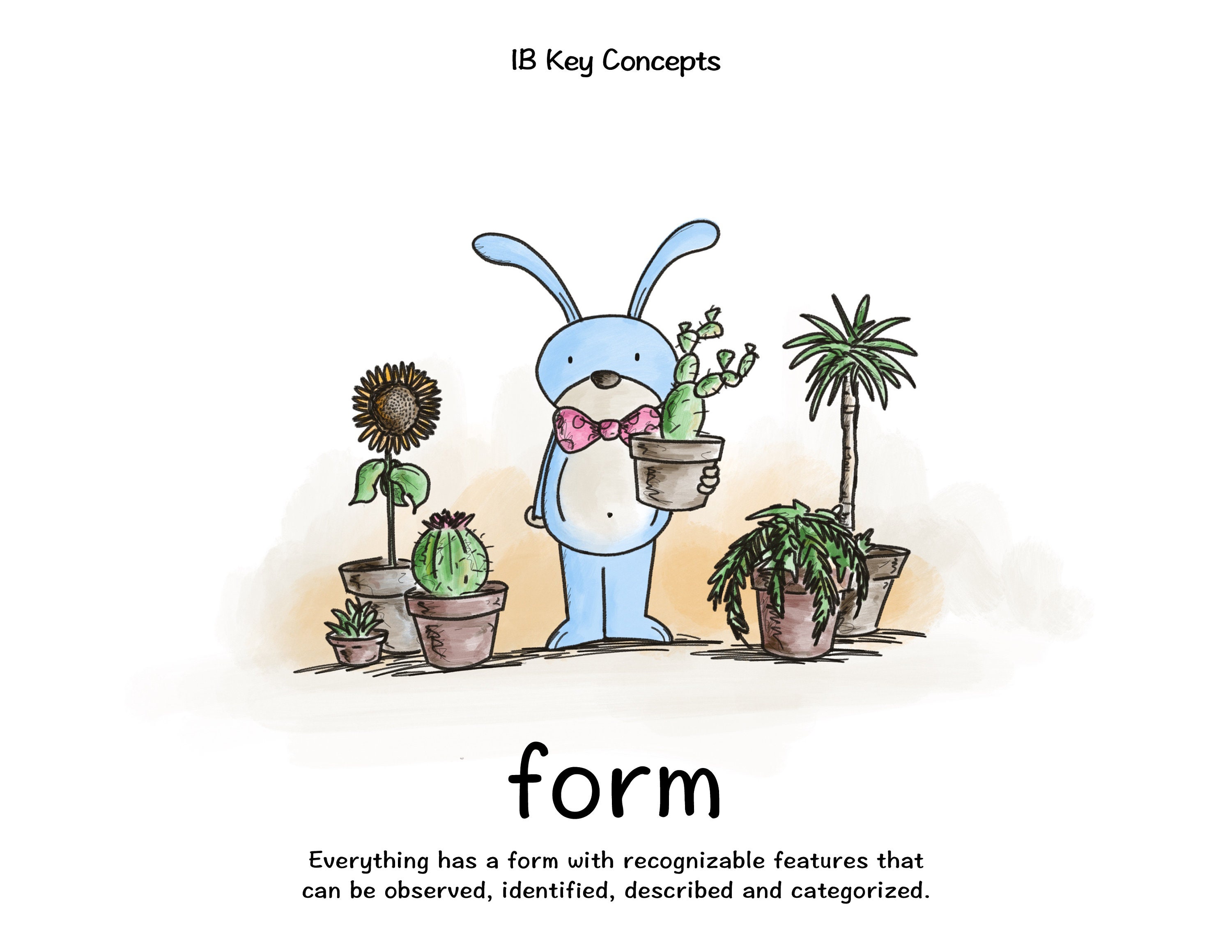 IB Key Concepts printable posters | Etsy