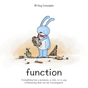 IB Key Concepts printable posters | Etsy