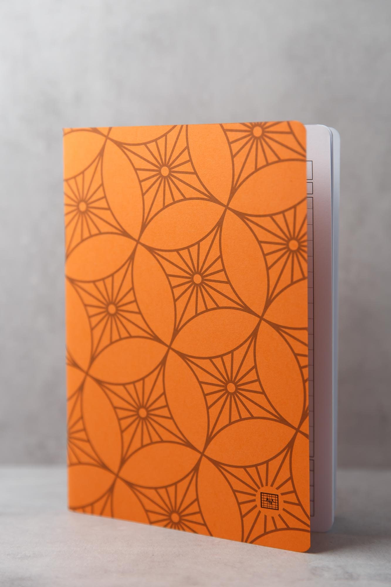 Symptoms Tracker Notebook ( 3 Pack ) for Better Health Management of ...