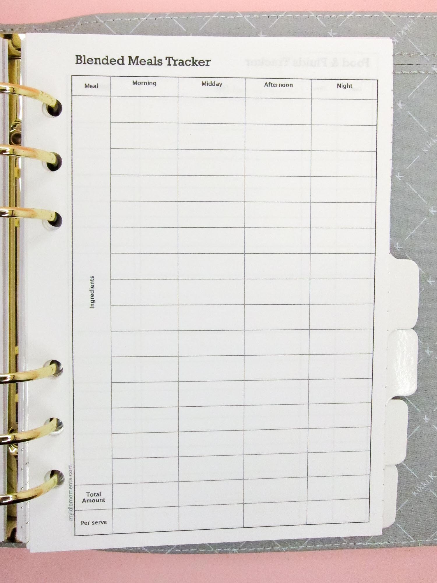B6 Size Blended Meals Tracker Printable Insert, Health Tracker, Medical ...