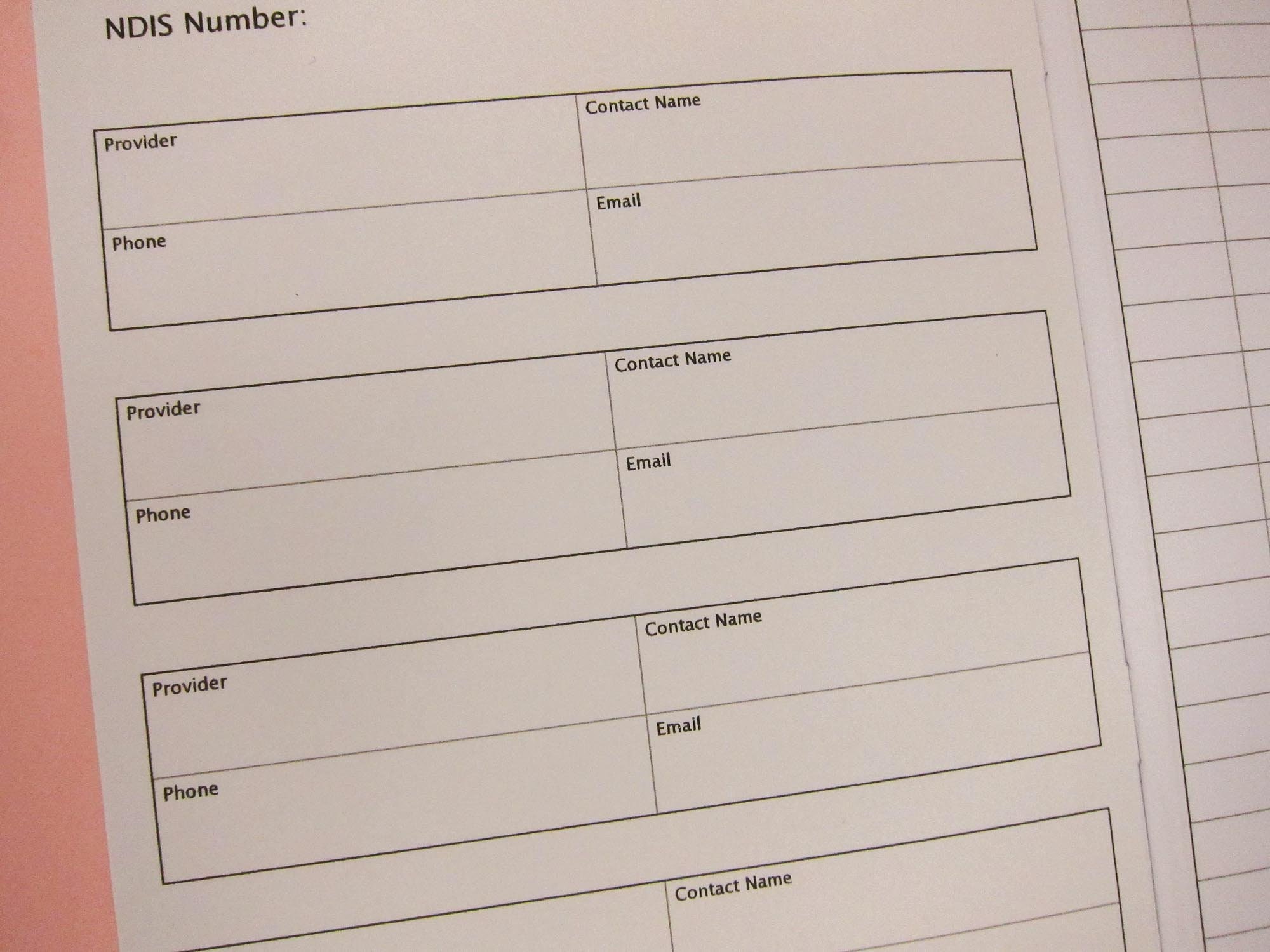 NDIS Payment Tracker NDIS Self Managment Therapy Invoices and Providers ...