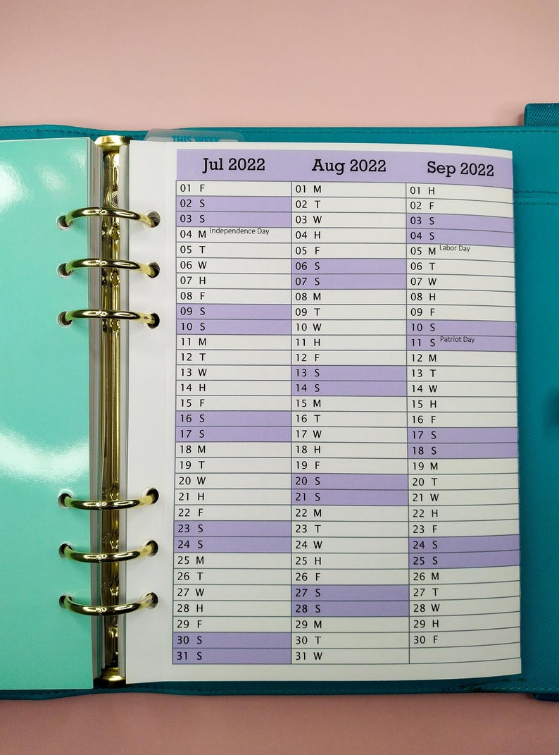 2025, 2026 Year at a Glance Calendar on 2 Pages. Printable Planner in ...