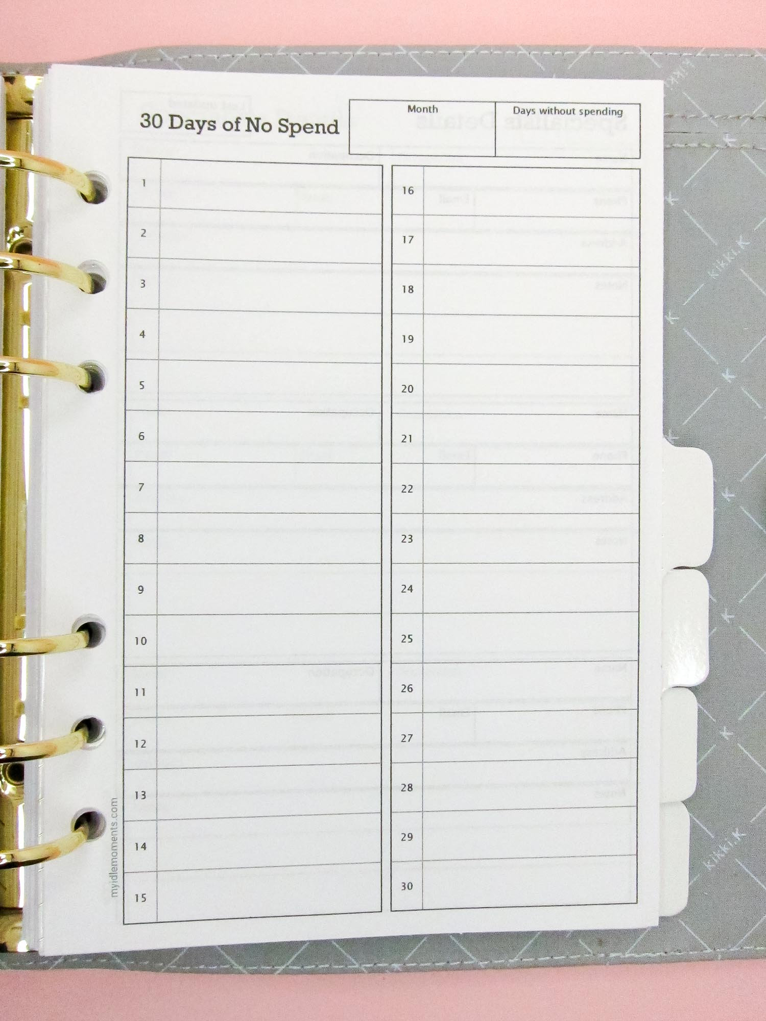 30 Day No Spend Challenge Planner Insert, Monthly No Spend, Save Money ...