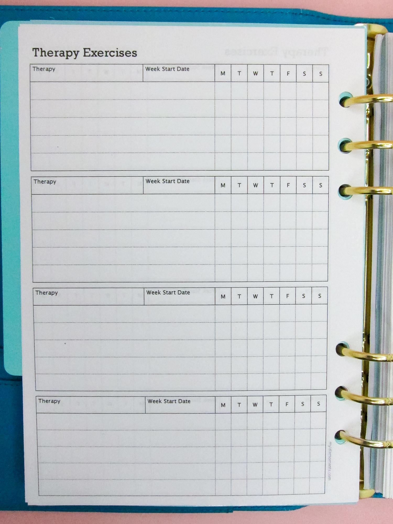 Therapy Exercises Planner Inserts, Printable Health Tracker, Exercises ...