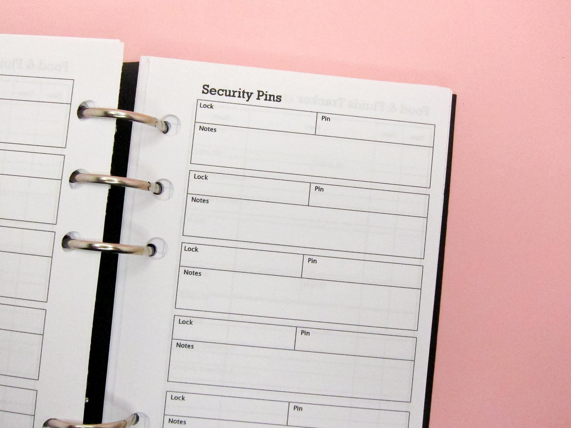 Personal Size Security Pin Tracker Log, Login Organizer, Password ...