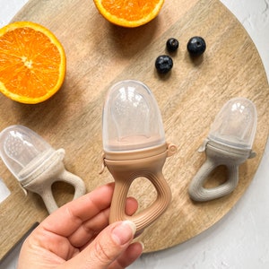 Neutral Baby Fruit Dummy Feeder Teether Baby Weaning Pacifier Neutral ...