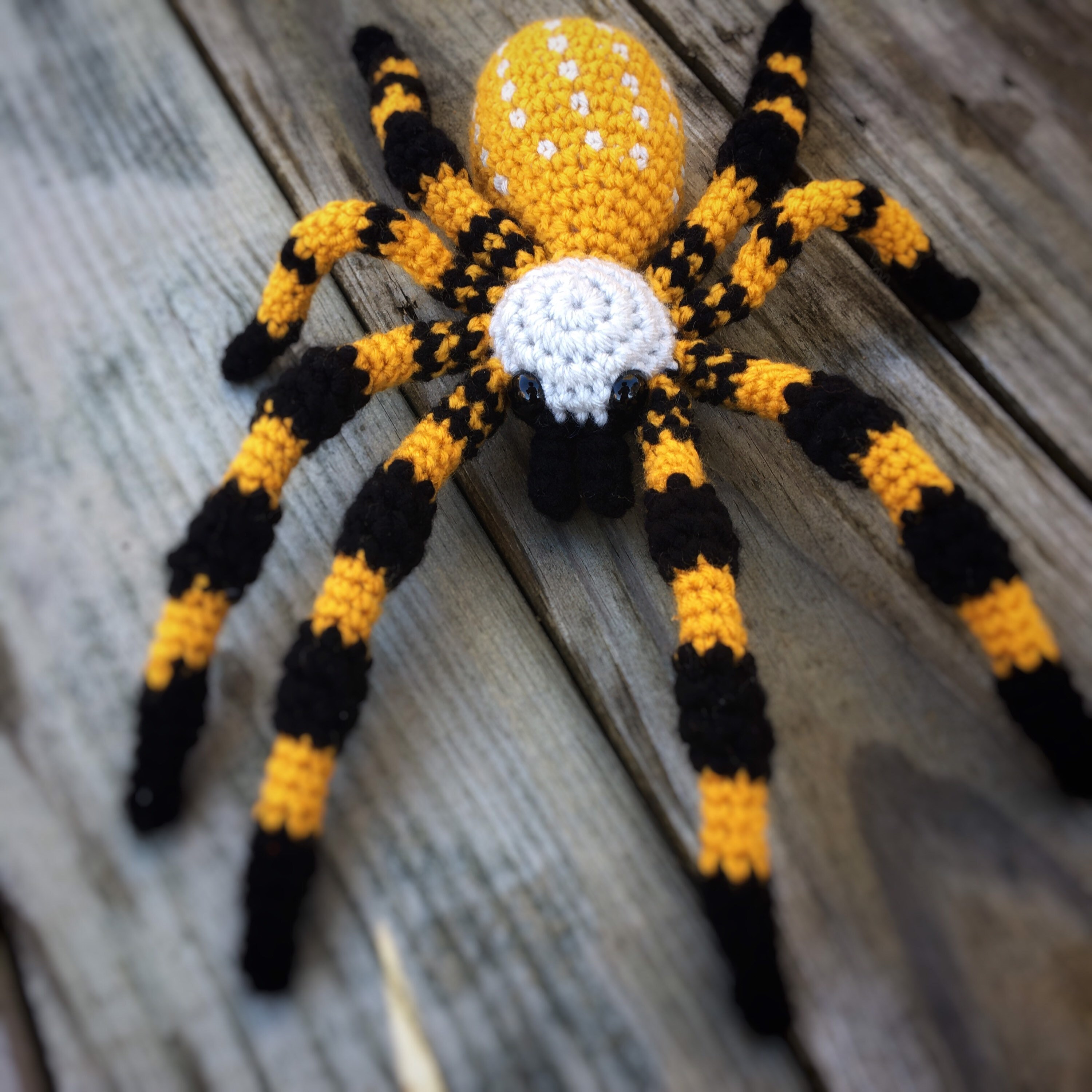 Plush Spider Golden Silk Orb-weaver - Etsy