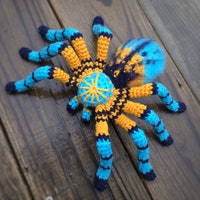 African Flower Mini Tarantula - Etsy