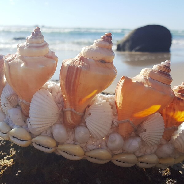 Shell Crown - Etsy