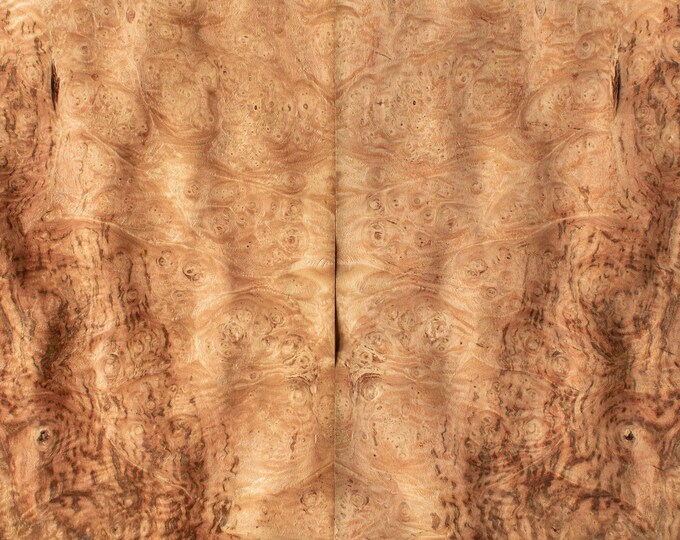 Chestnut Burl Wood Veneer Sheets, 32x24cm, 1 Sheet, Grade B [BS4CHT2X1 ...