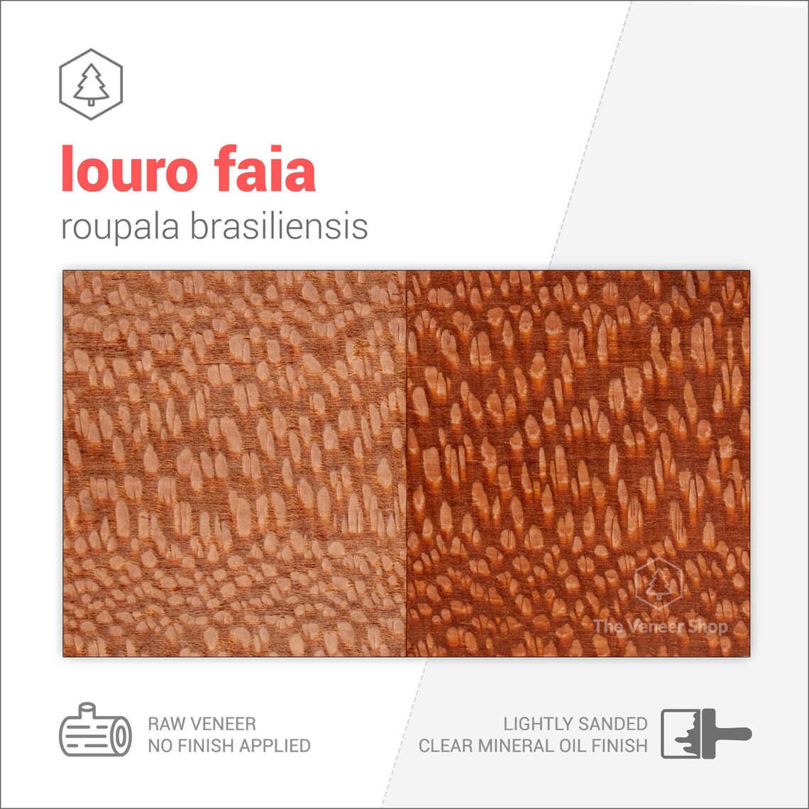 Louro Faia (lacewood) Wood Veneer Sheets, 56x23cm, 2 Sheets, Grade AA ...