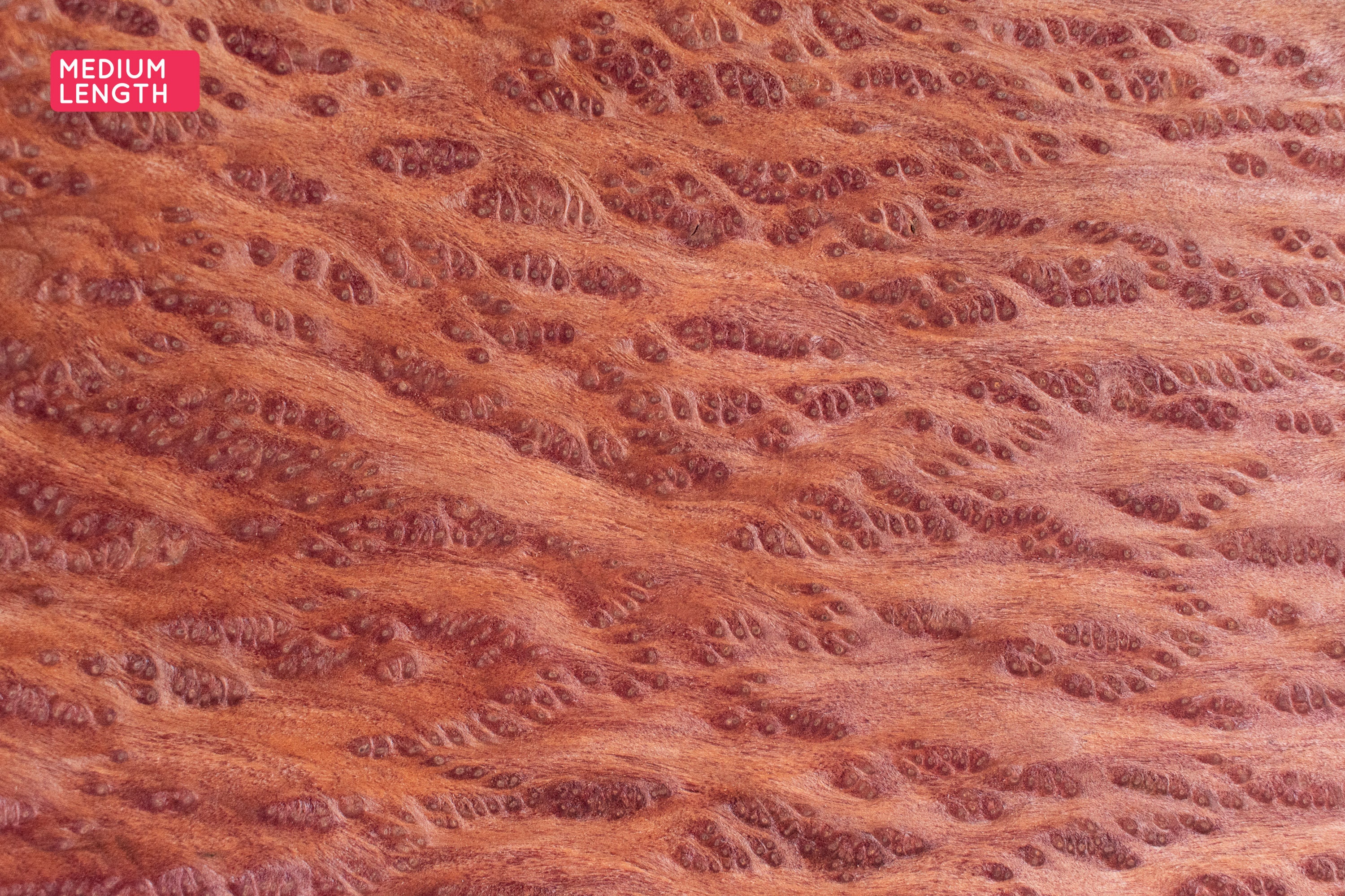 Vavona redwood Sequoia Burl Wood Veneer Sheet 37x21cm - Etsy