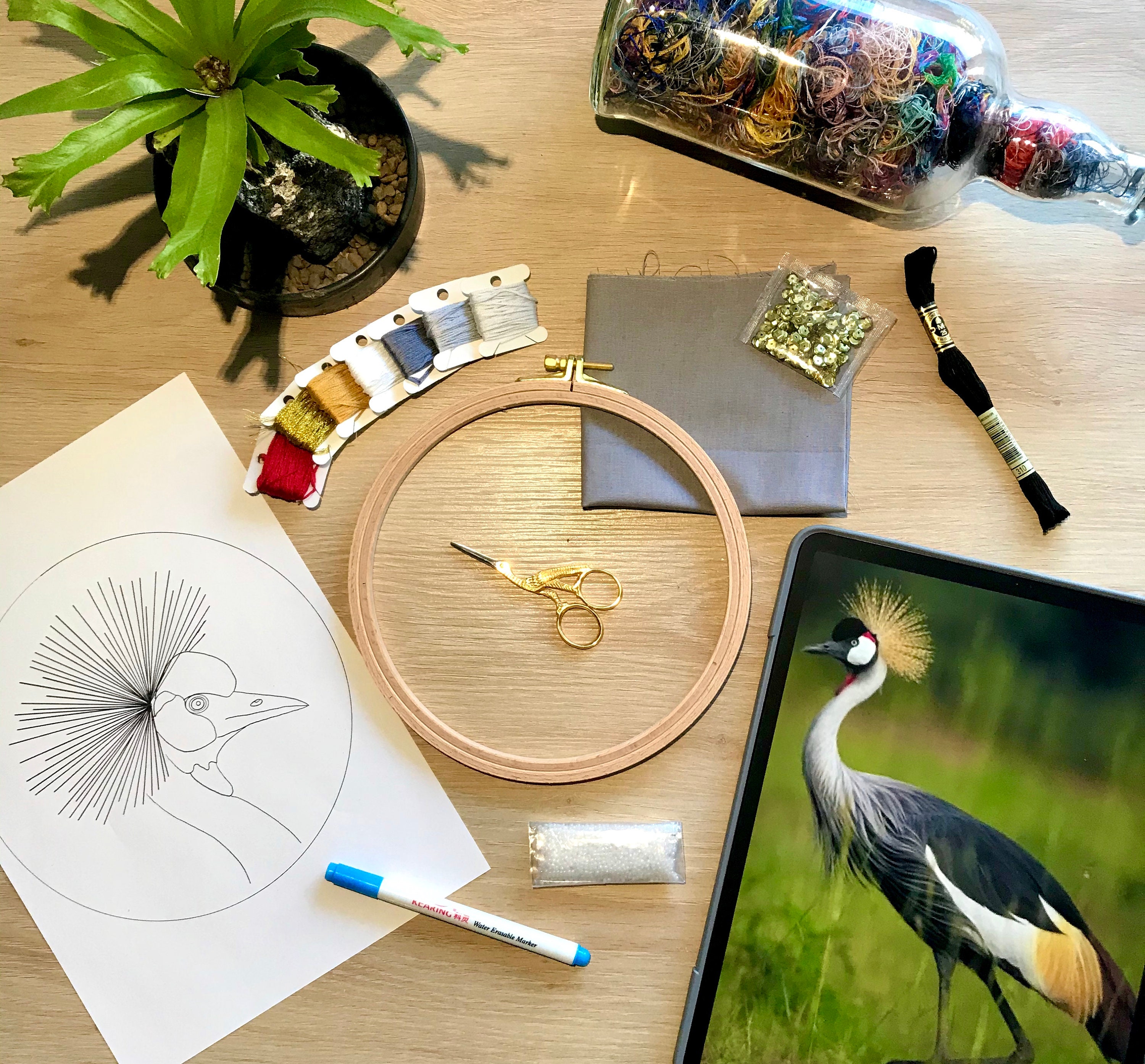 PDF Pattern Grey Crowned Crane Modern Embroidery Art | Etsy
