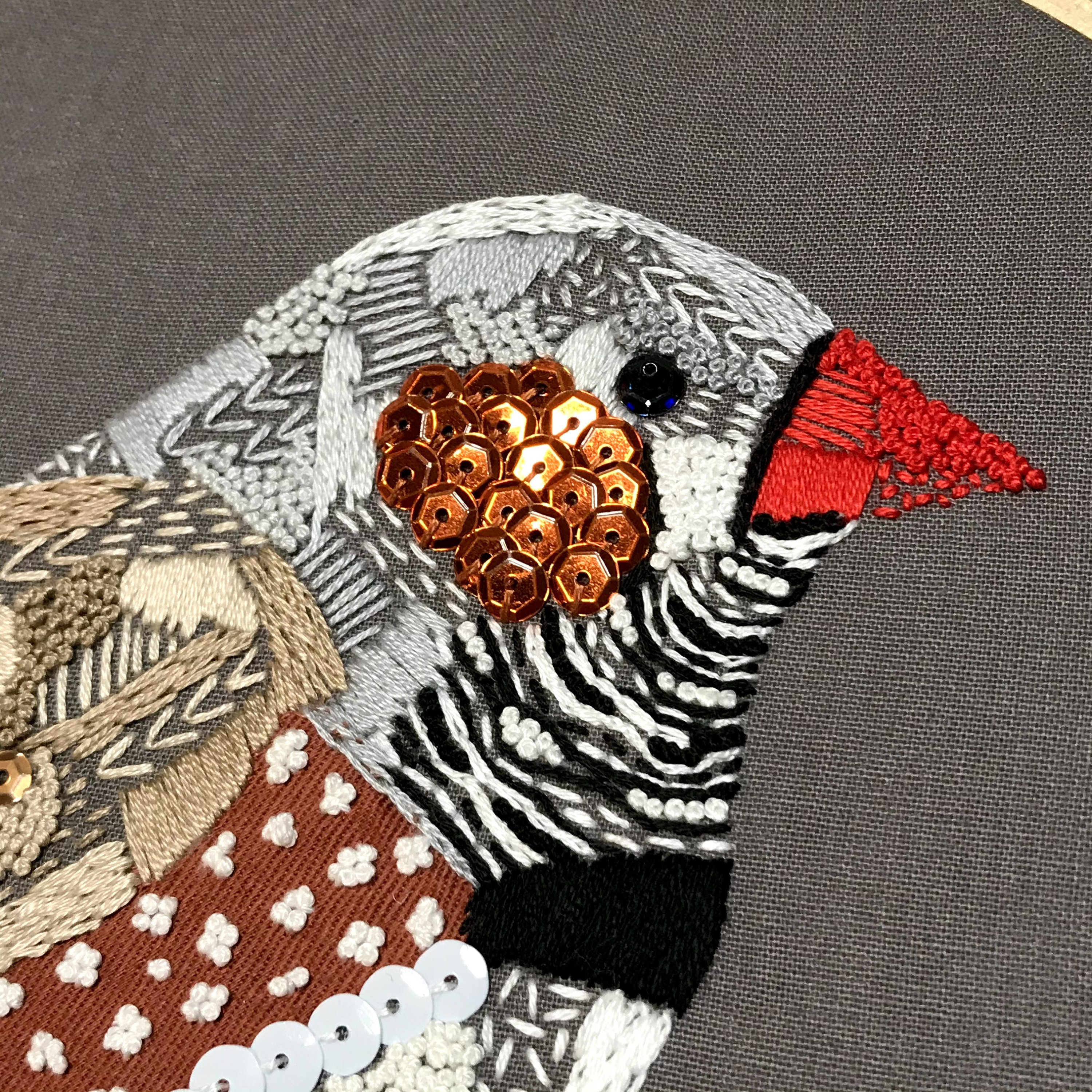 Zebra Finch Embroidery Kit Bird Art Australian bird DIY | Etsy