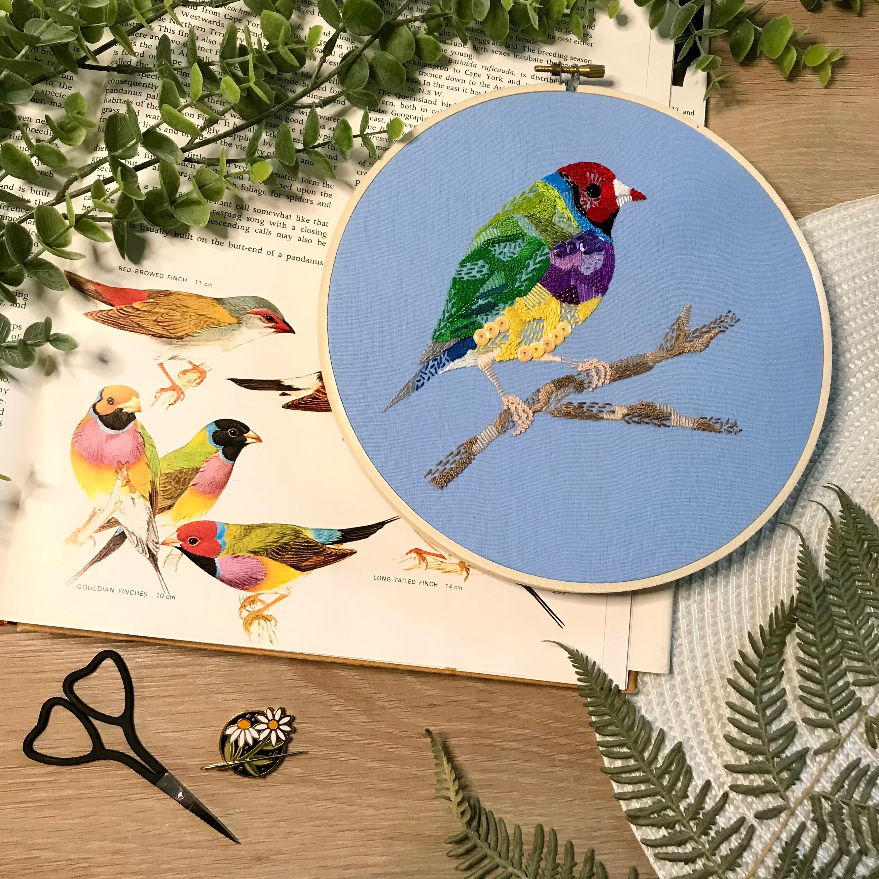 Gouldian Finch Embroidery Kit DIY Embroidery Art Bird Art - Etsy