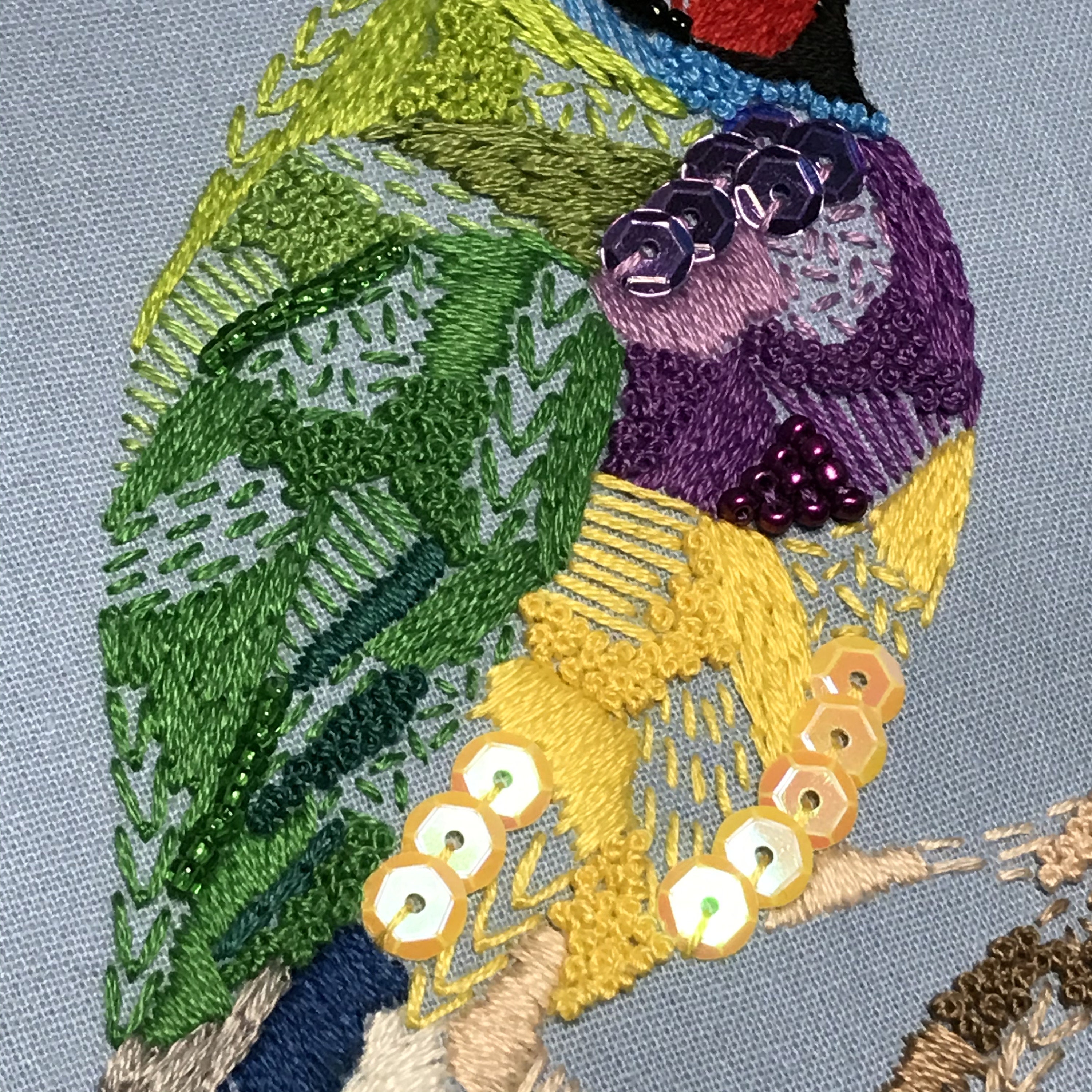 Gouldian Finch Embroidery Kit DIY Embroidery Art Bird Art - Etsy