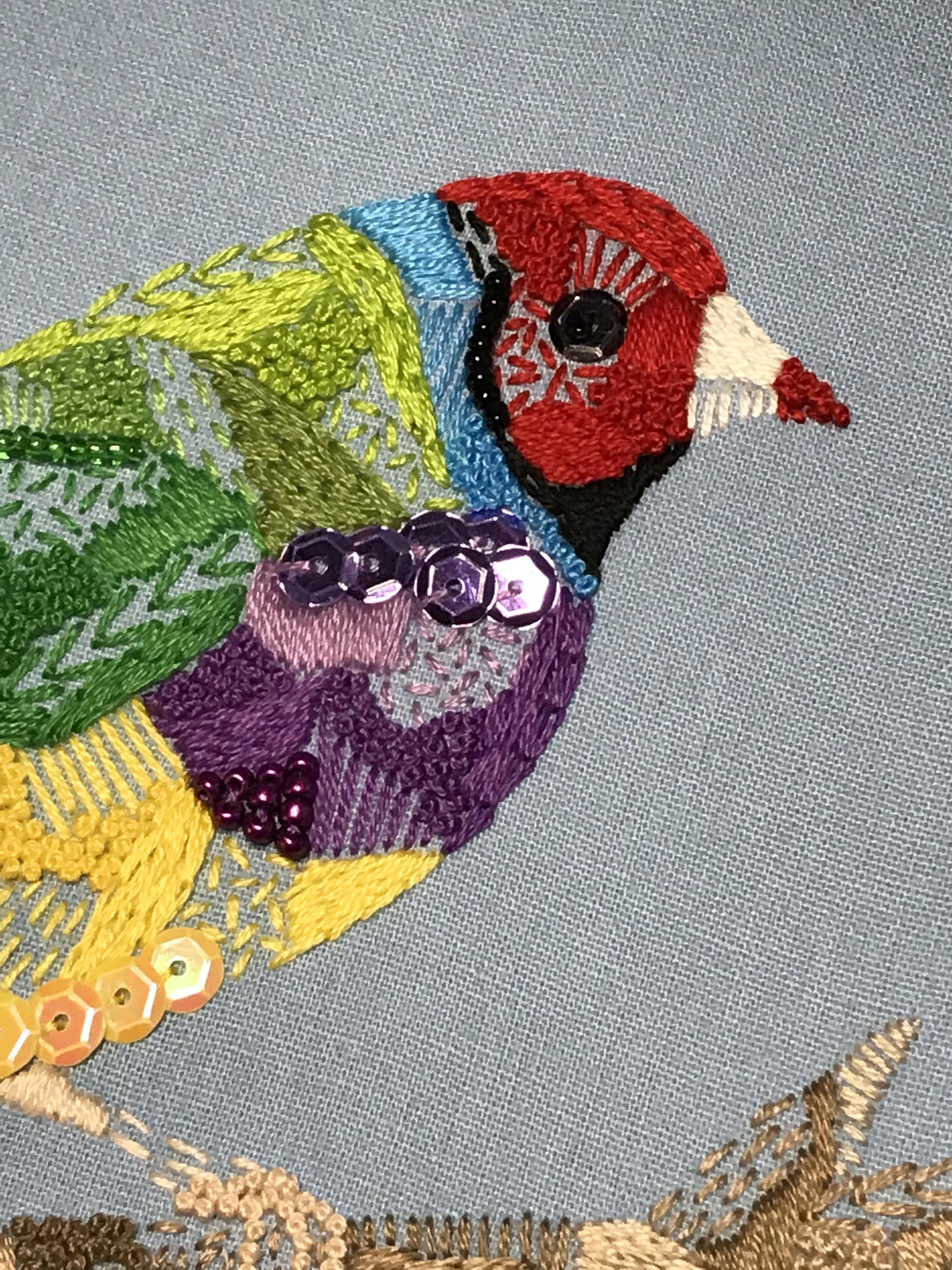 PDF Pattern Gouldian Finch, Modern Embroidery Art, Handmade, Bird Art ...