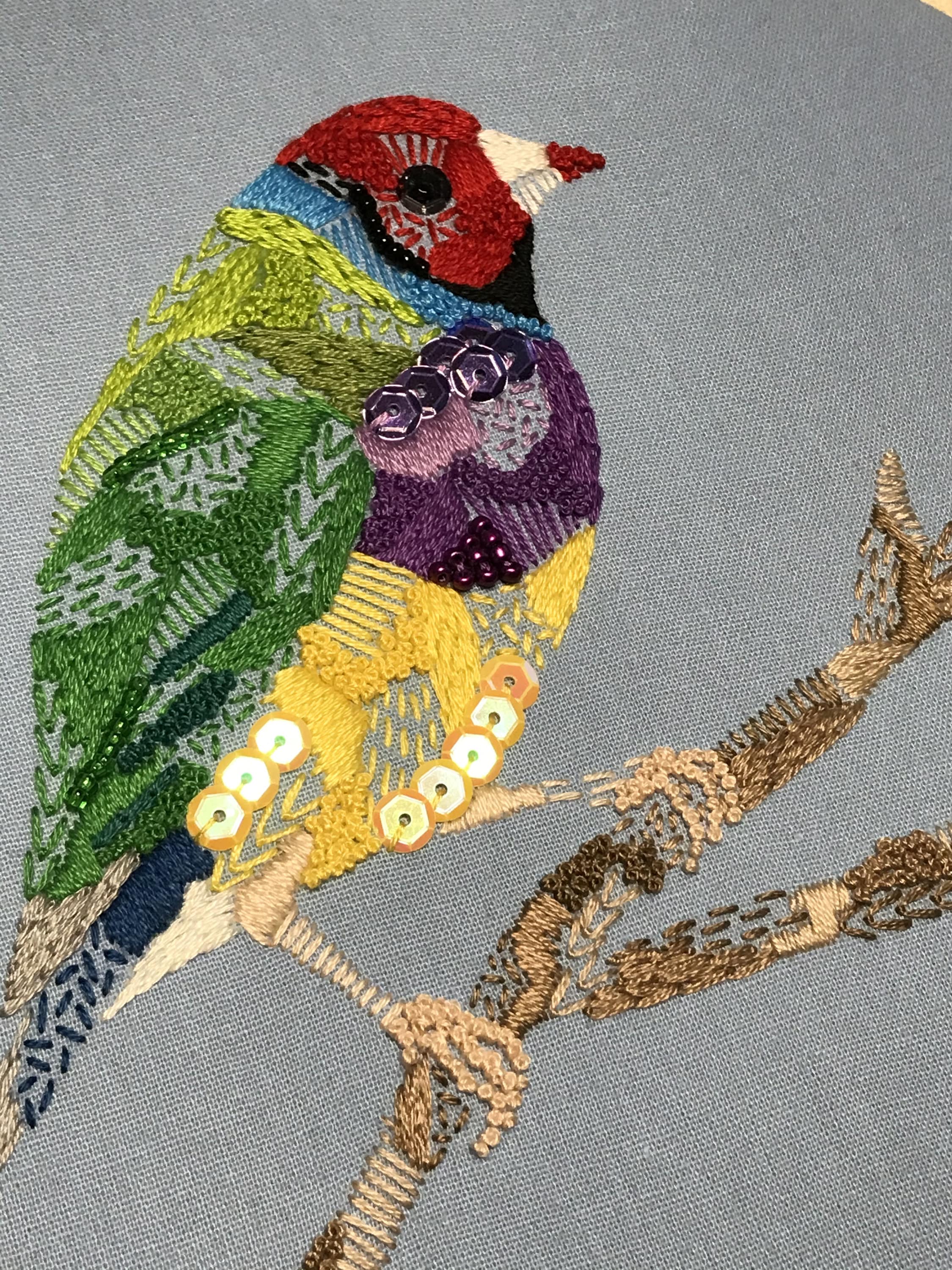 PDF Pattern Gouldian Finch, Modern Embroidery Art, Handmade, Bird Art ...