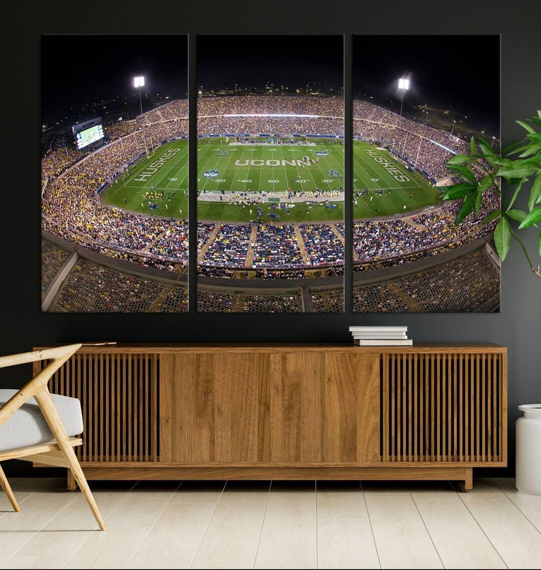 Pratt & Whitney Stadium at Rentschler Field Stadium Canvas Print ...