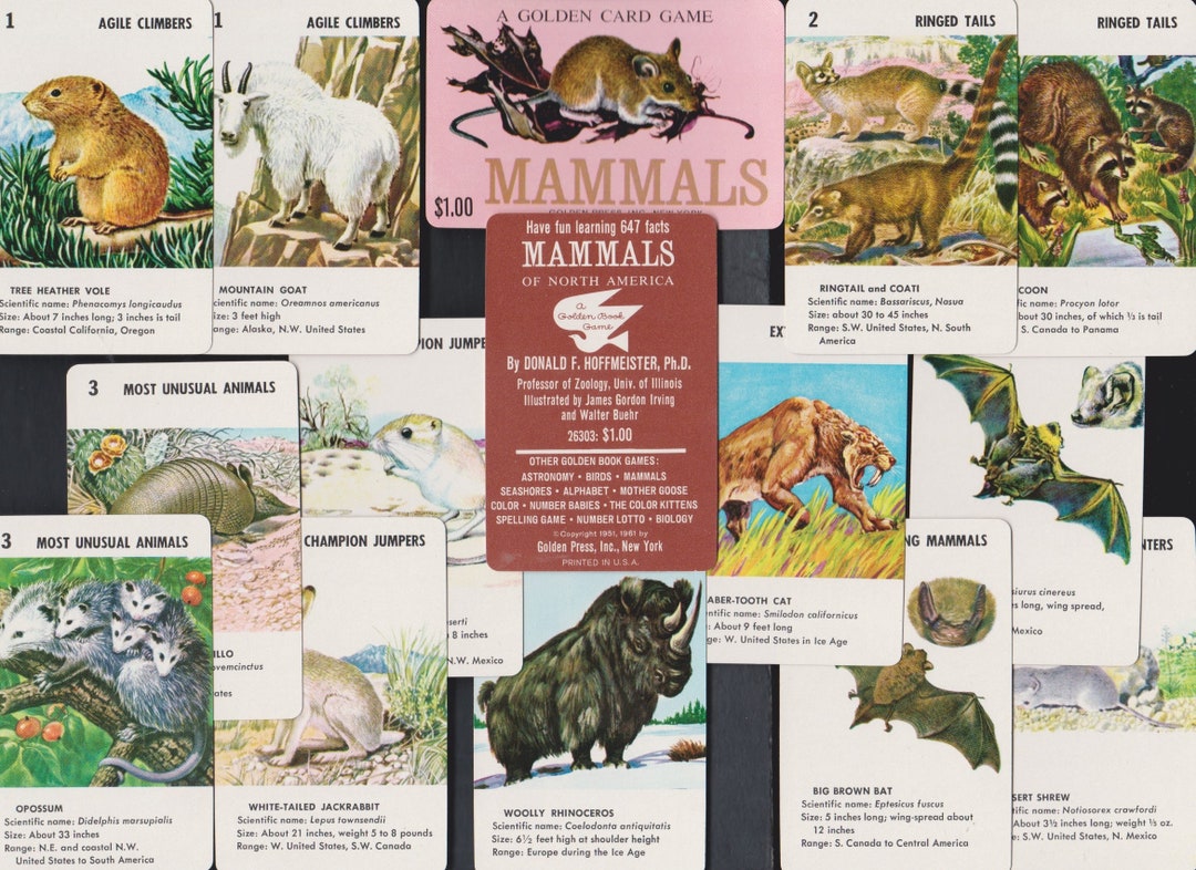 Vintage Golden Card Game MAMMALS Rare Animals,flashcard Style ...