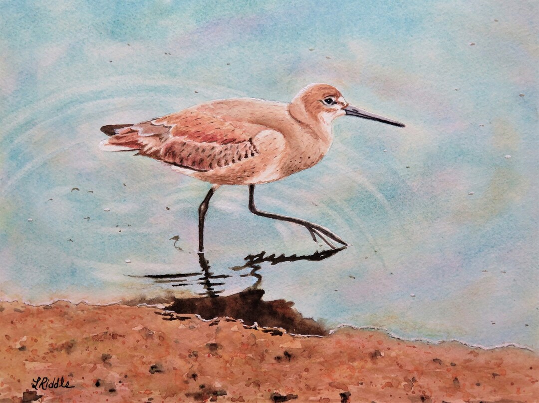Sandpiper 9x12 Watercolor Original, Beach Scene, Water, Shadows, Water ...