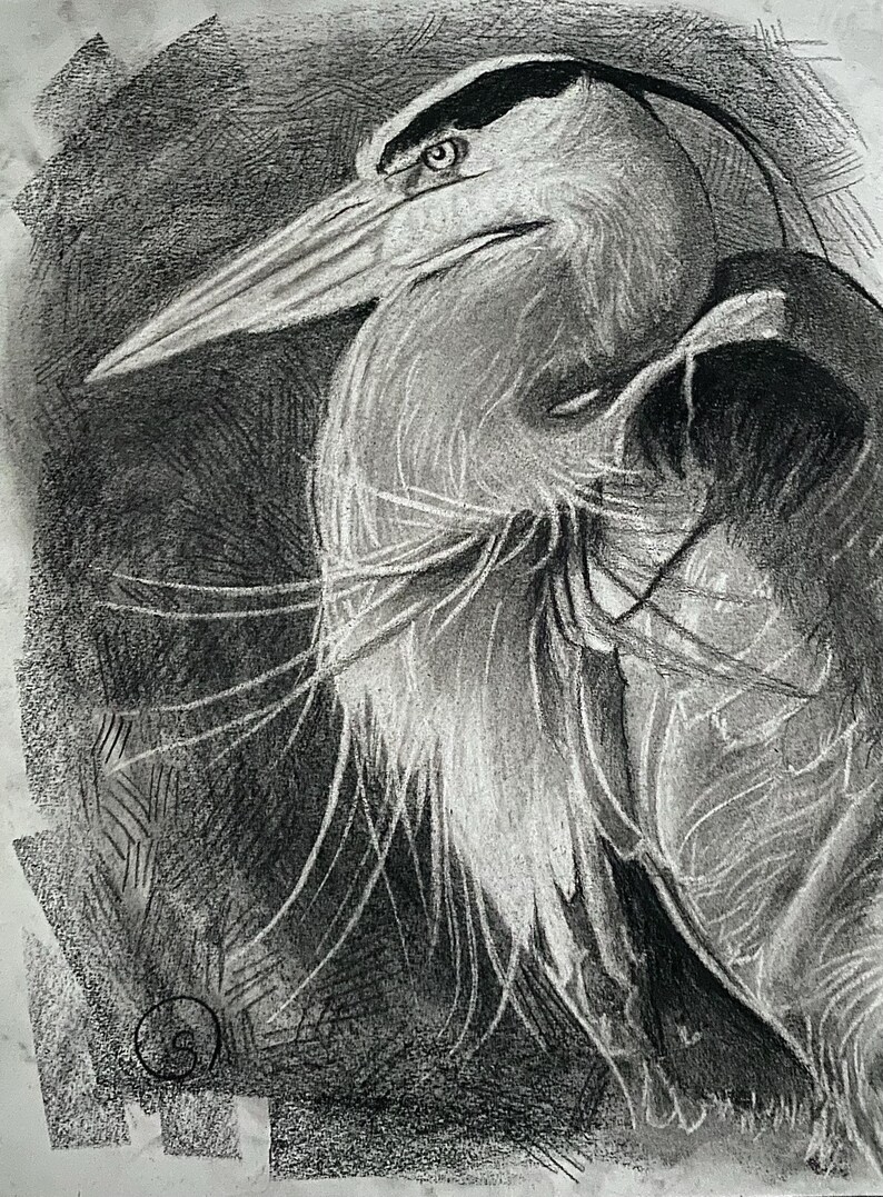Heron Profile Charcoal Drawing Original - Etsy