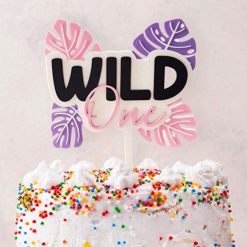 Wild One Cake Topper Boy - Etsy