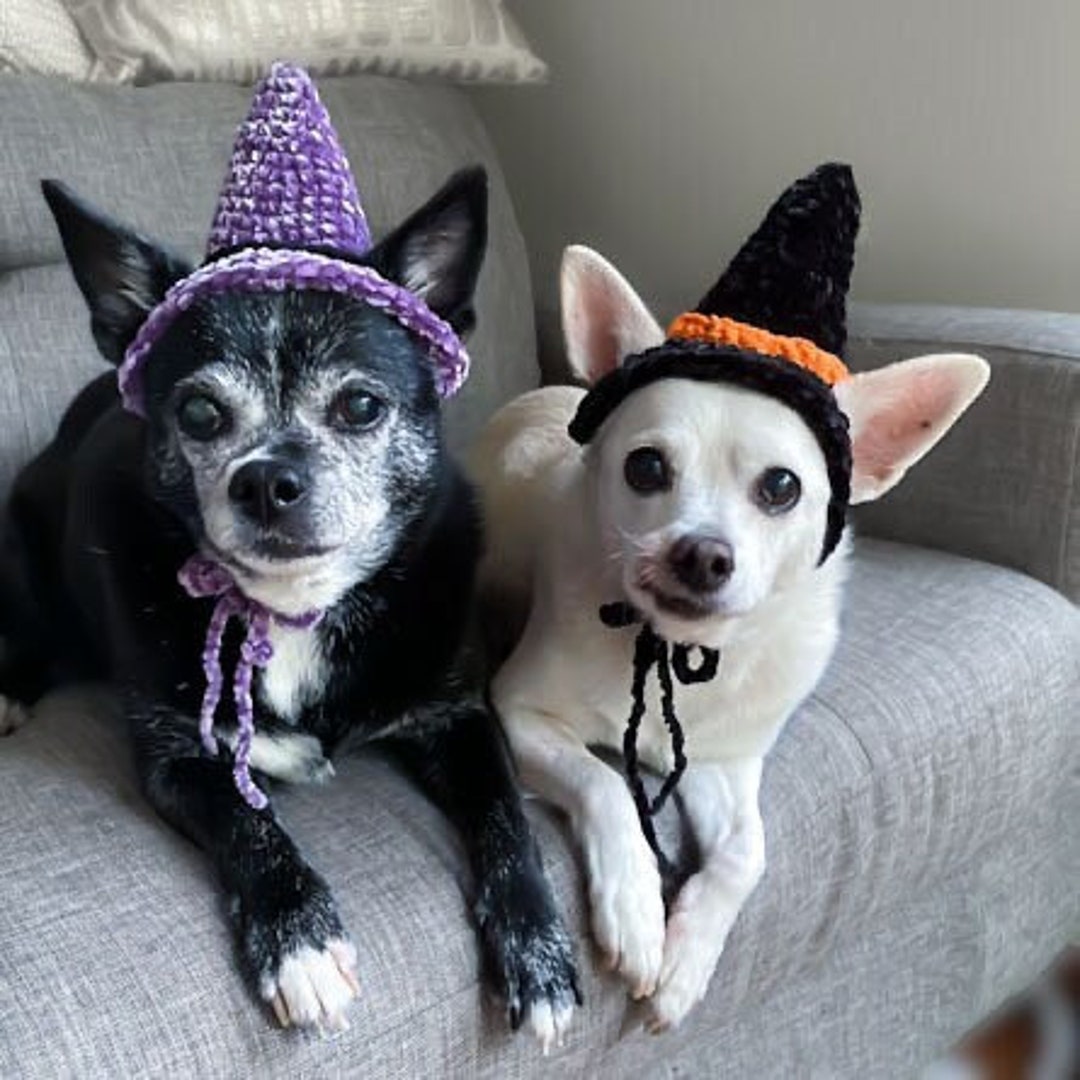 Witch Hat for Small Dogs or Cat, Pet Witch Hat, Crochet Pet Halloween ...