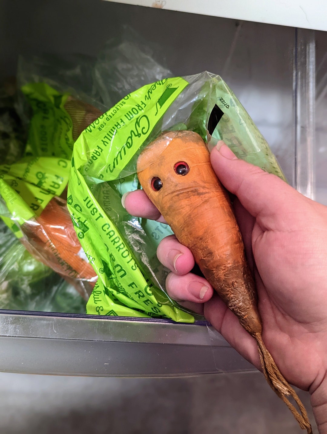 Dried Out Old Carrots! Weird Veggie Figurine! - Etsy