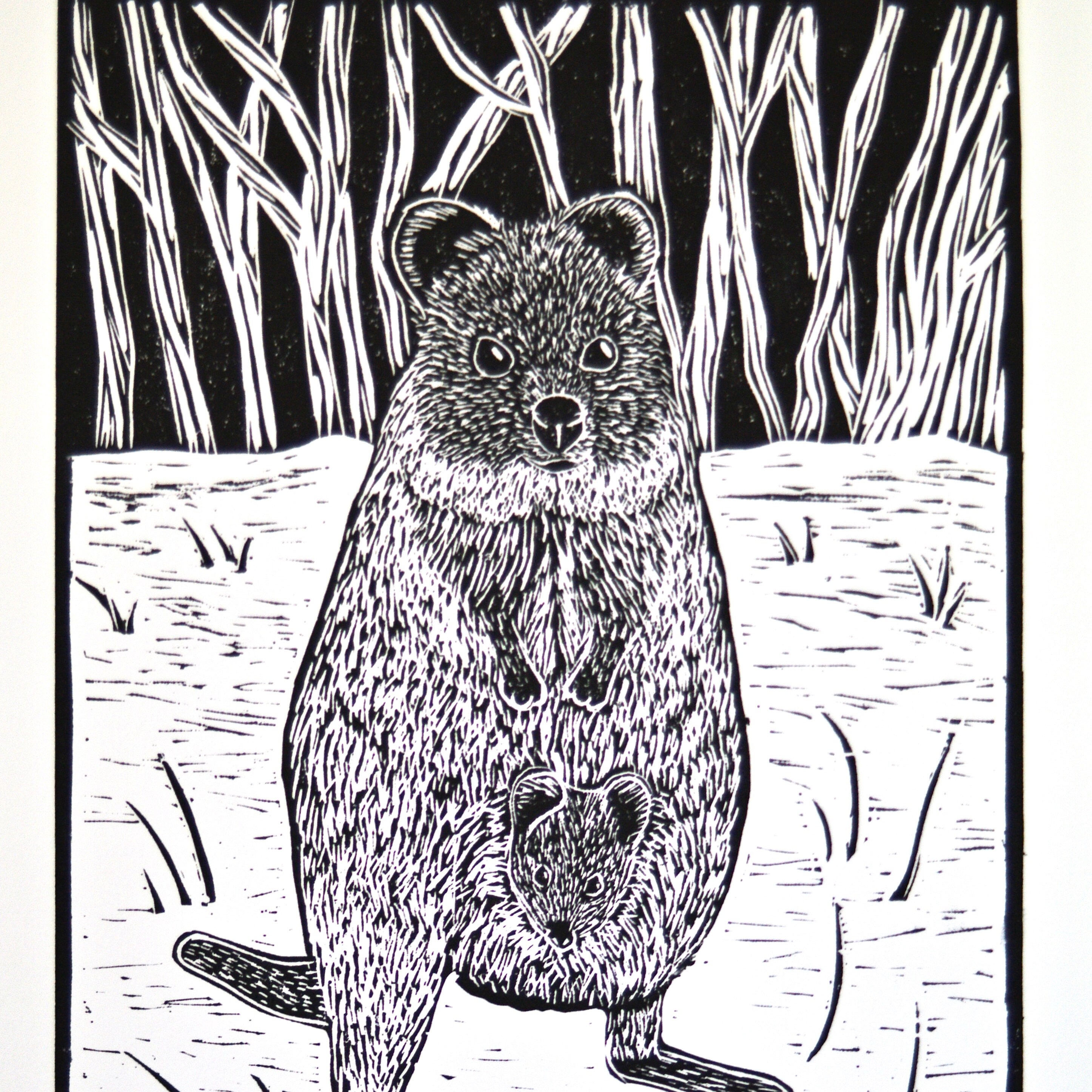 Quokka Lino Cut Print / Australian Animal Print / Australian | Etsy