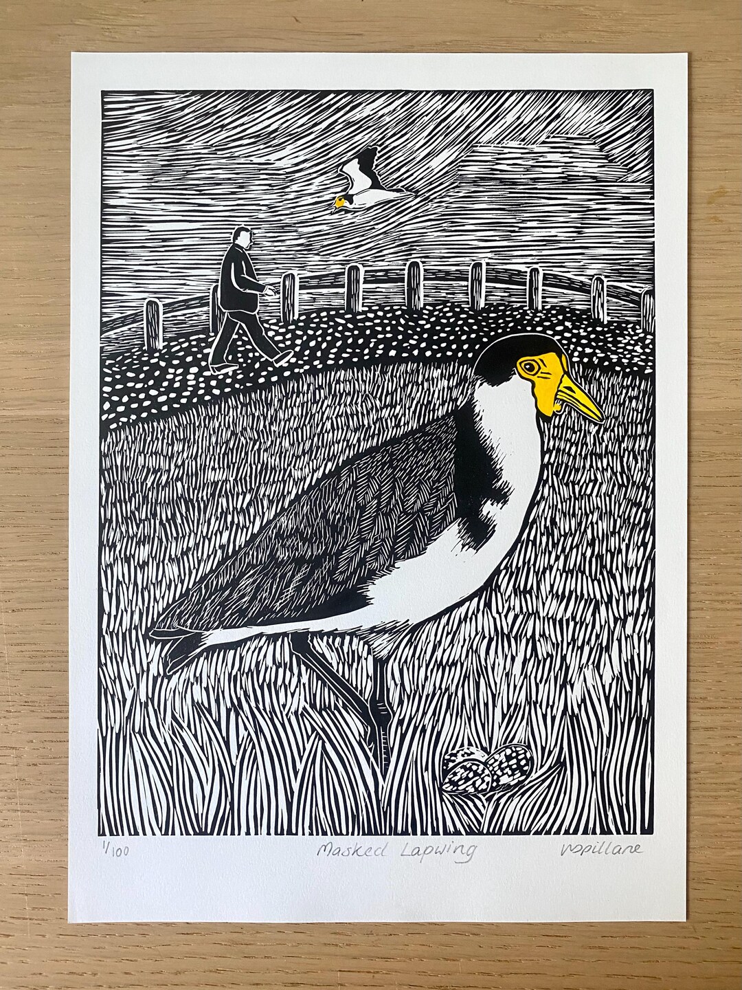 Masked Lapwing Linocut Print: Hand-printed Australian Bird Art - Etsy ...