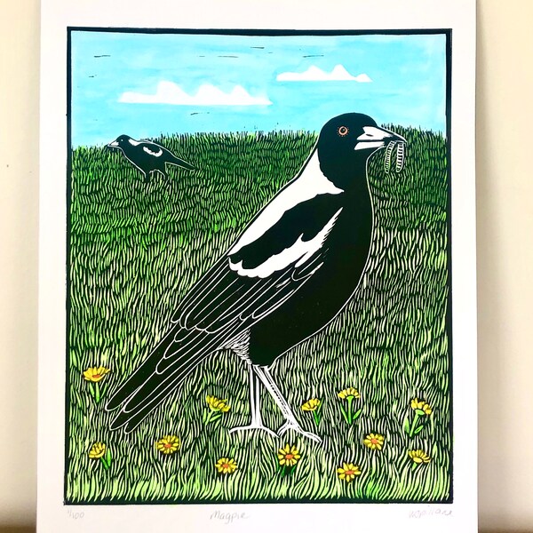 Australian Magpie - Etsy Australia