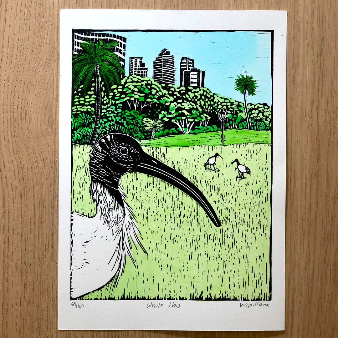 Australian White Ibis Linocut Print / Bin Chicken / Australian Bird ...