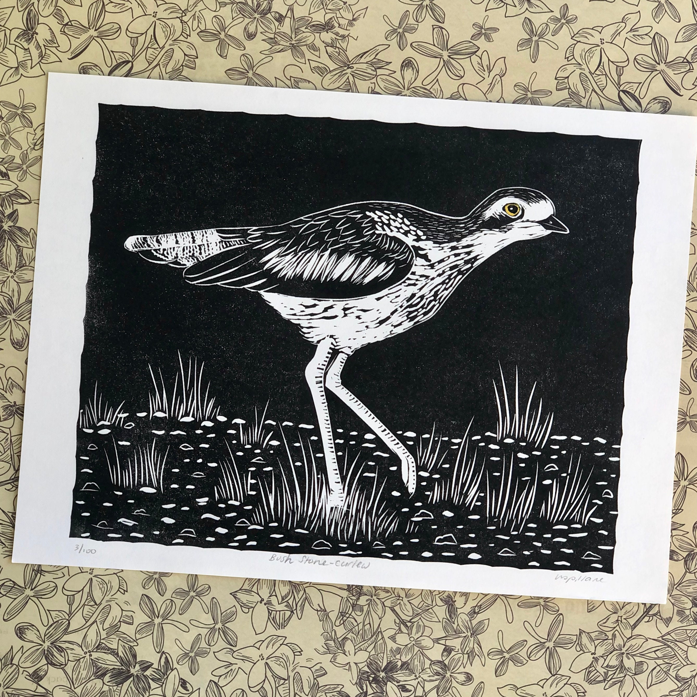 Bush Stone-curlew Lino Cut Print / Bush Thick Knee / - Etsy