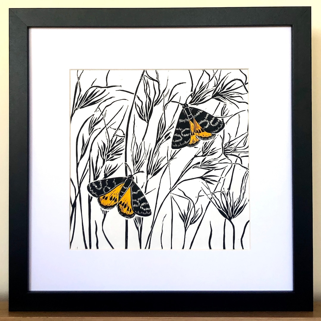 The Sun Moth / Australian Insect / Linocut Print - Etsy