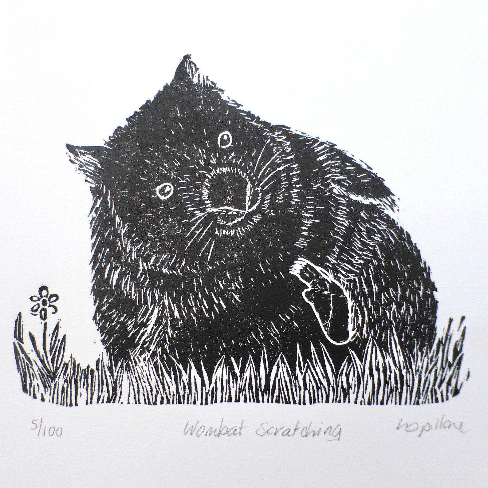 Wombat Linocut Print / Australian Animal / Black and White / | Etsy