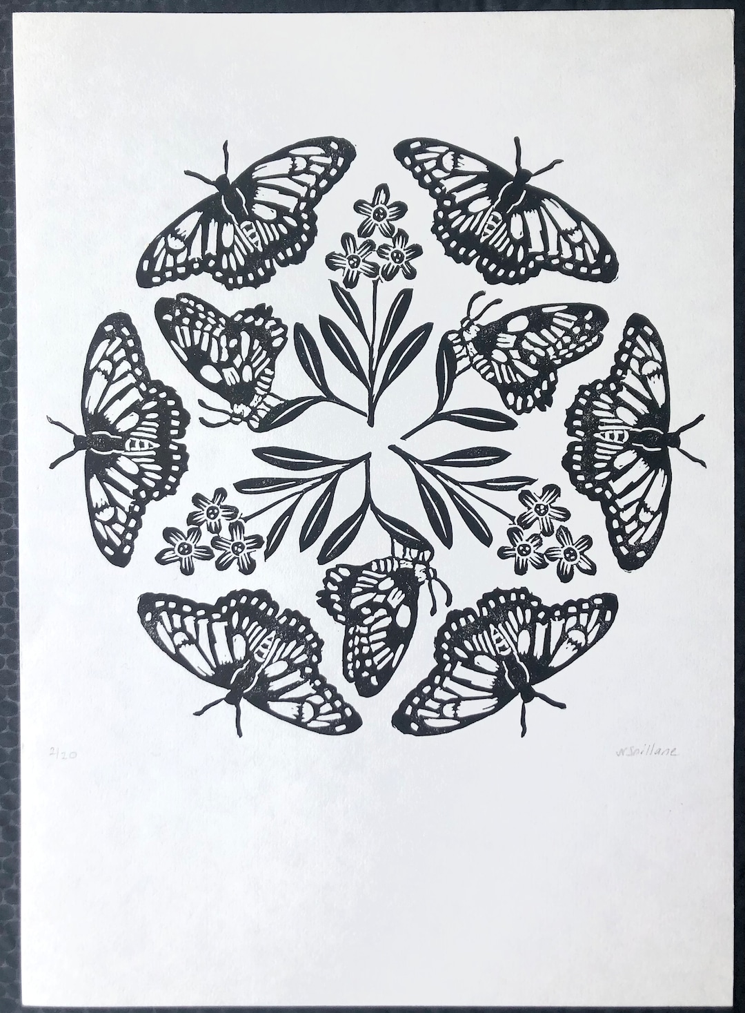 Australian Butterfly Lino Cut Print / Insect / Original Linocut - Etsy