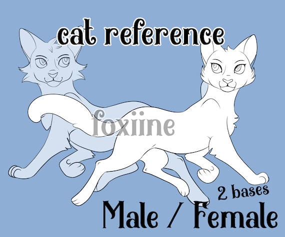 Female Warrior Cat Base