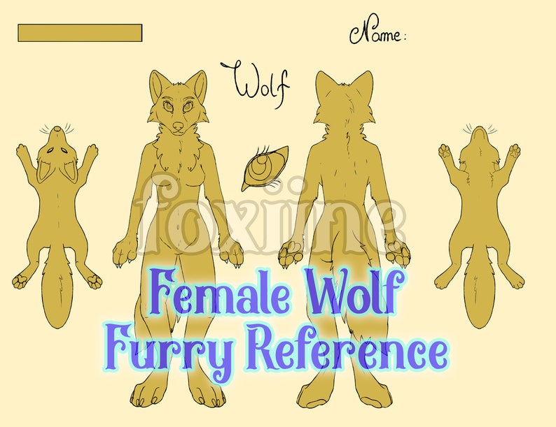 Female Wolf Furry Reference Sheet Base - Etsy