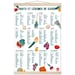 EU Affiche Fruits et Légumes de saison - Etsy France