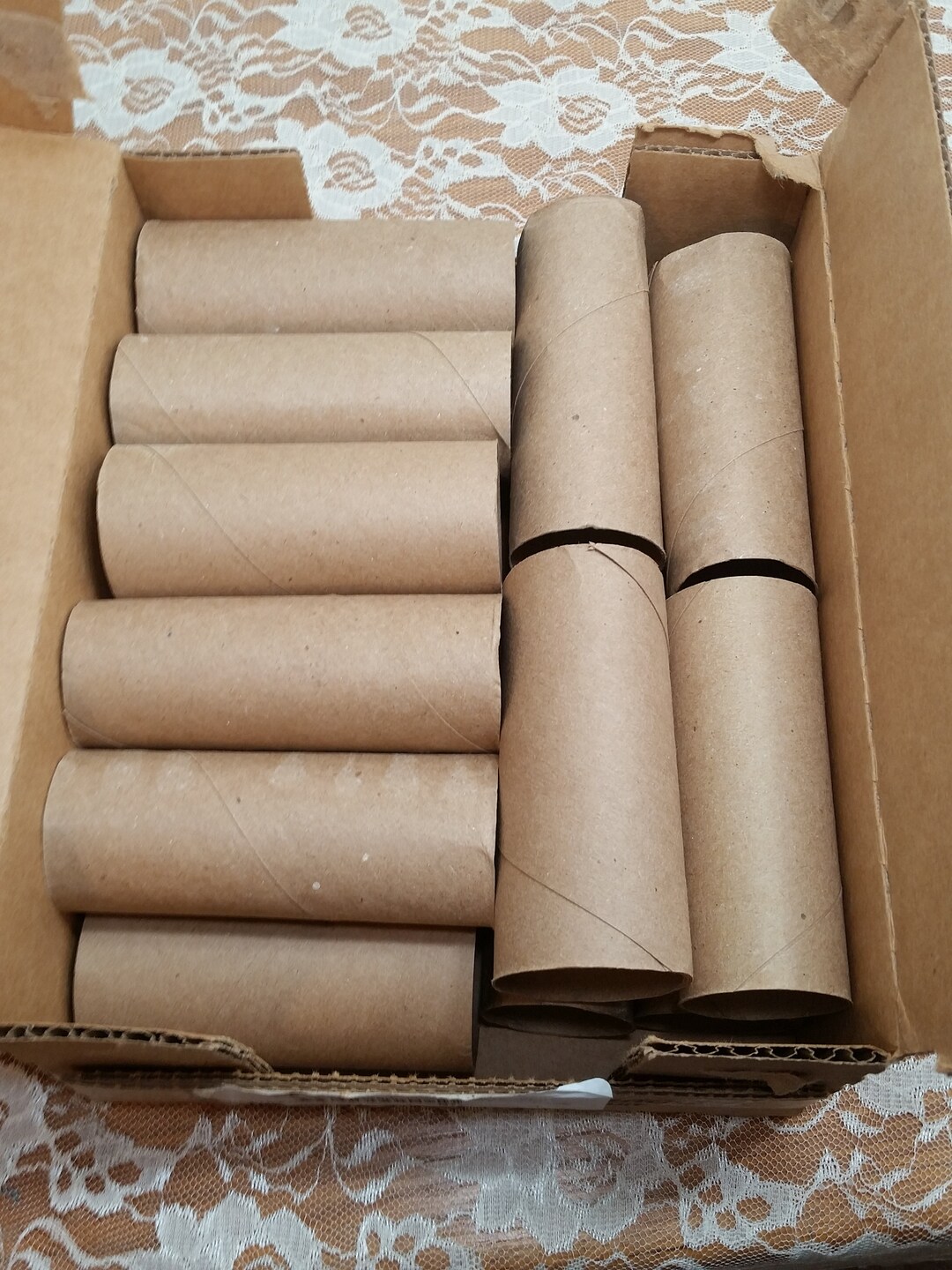 18 Cardboard Toilet Paper Tube Rolls,1 Set of 18, Cardboard Craft Tubes ...
