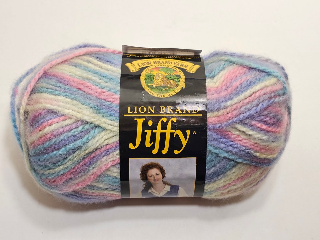 Lion Brand Jiffy Yarn, Salem Variegated, Bulky Acrylic Skein - Etsy