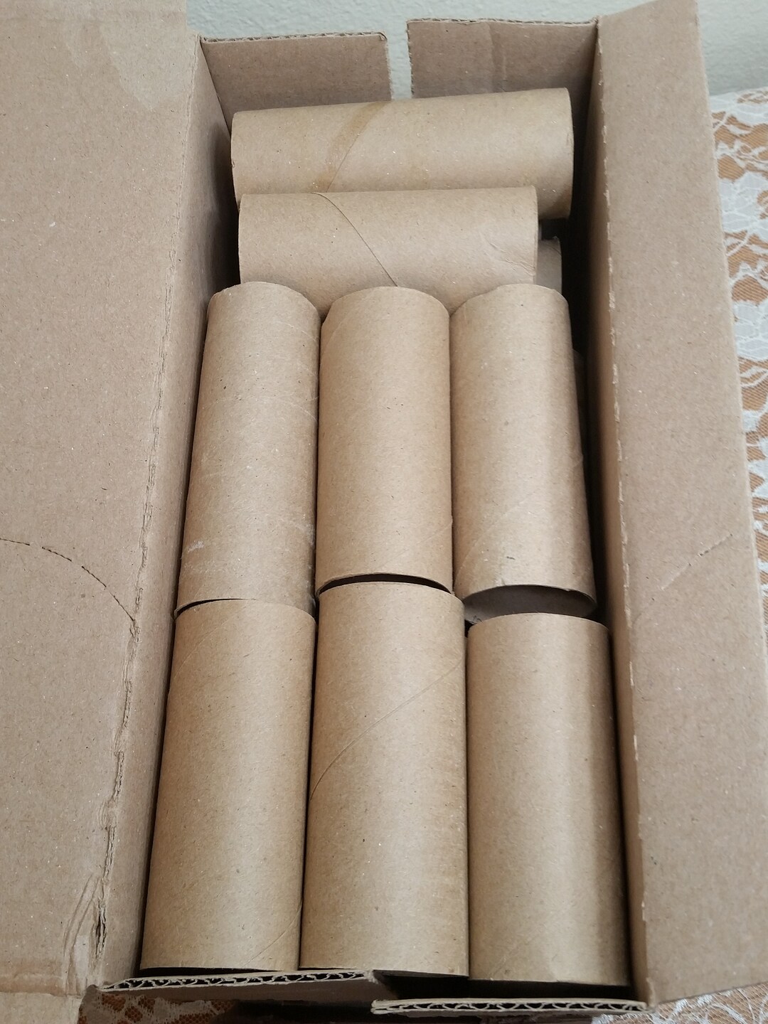 32 Cardboard Toilet Paper Tube Rolls,1 Set of 32, Cardboard Craft Tubes ...
