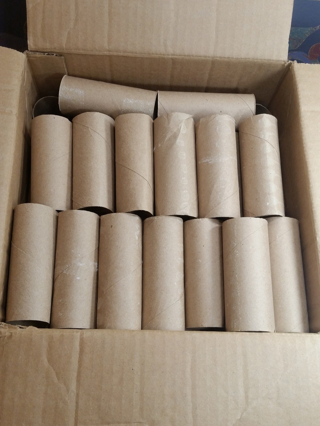 100 Cardboard Toilet Paper Tube Rolls,1 Set of 100, Cardboard Craft ...