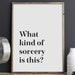 What Kind of Sorcery is This Print Funny Poster Magic Wall - Etsy