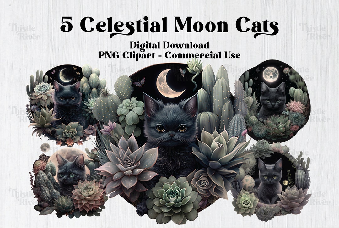 Moon Witchy Clipart, Mystical Cat Moon, Bundle, Celestial Succulents ...