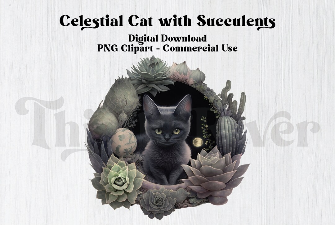 Moon Witchy Clipart, Mystical Moon Style, Celestial Cat, Magical ...