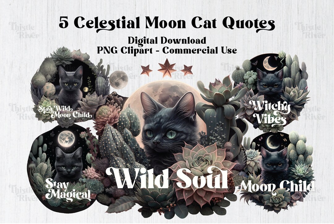 Moon Witchy Clipart, Mystical Cat Moon, Bundle, Celestial Succulents ...