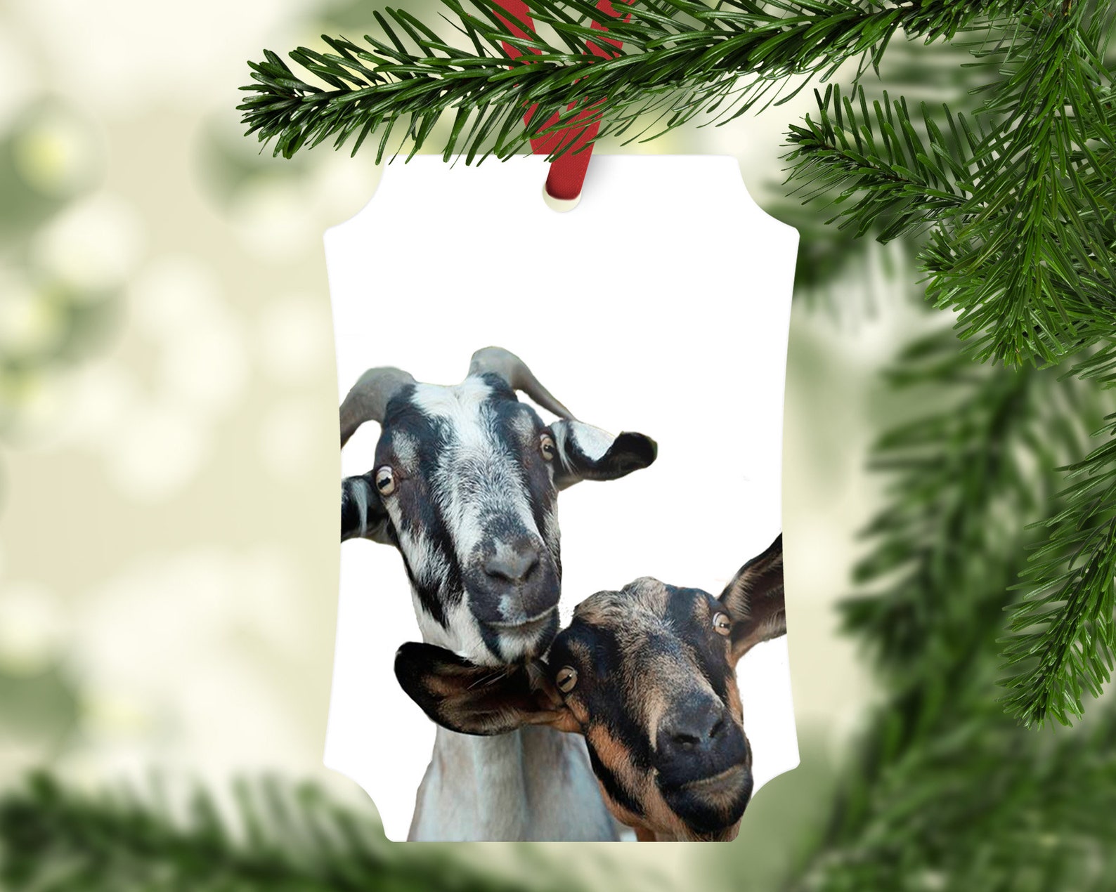 Personalized Show Goat Christmas Ornament, Livestock Show Ornament ...