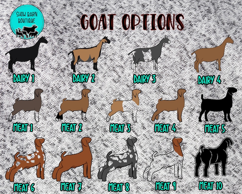 Show Goat Blanket Personalized Goat Blanket Show Dairy Goat - Etsy